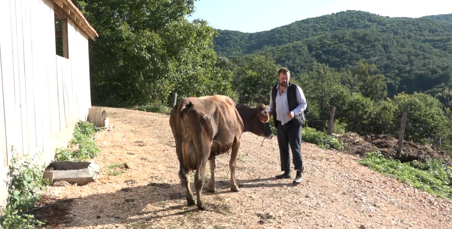 Mljekarska industrija BiH traži hitno razdvajanje biljnih i mliječnih ...